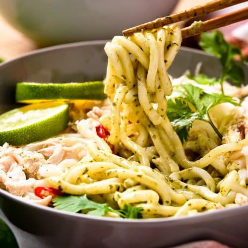 Udon Noodles with Thai Green Curry - All The Noodles